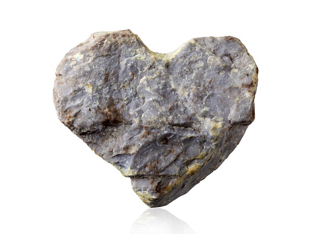 Renovation of the Heart – Andrew S M Clark